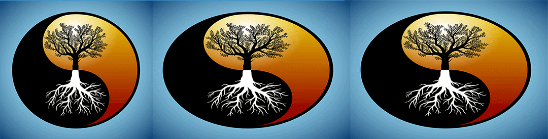 Feng Shui Shapes Our Behavior - Feng Shui Institute of America